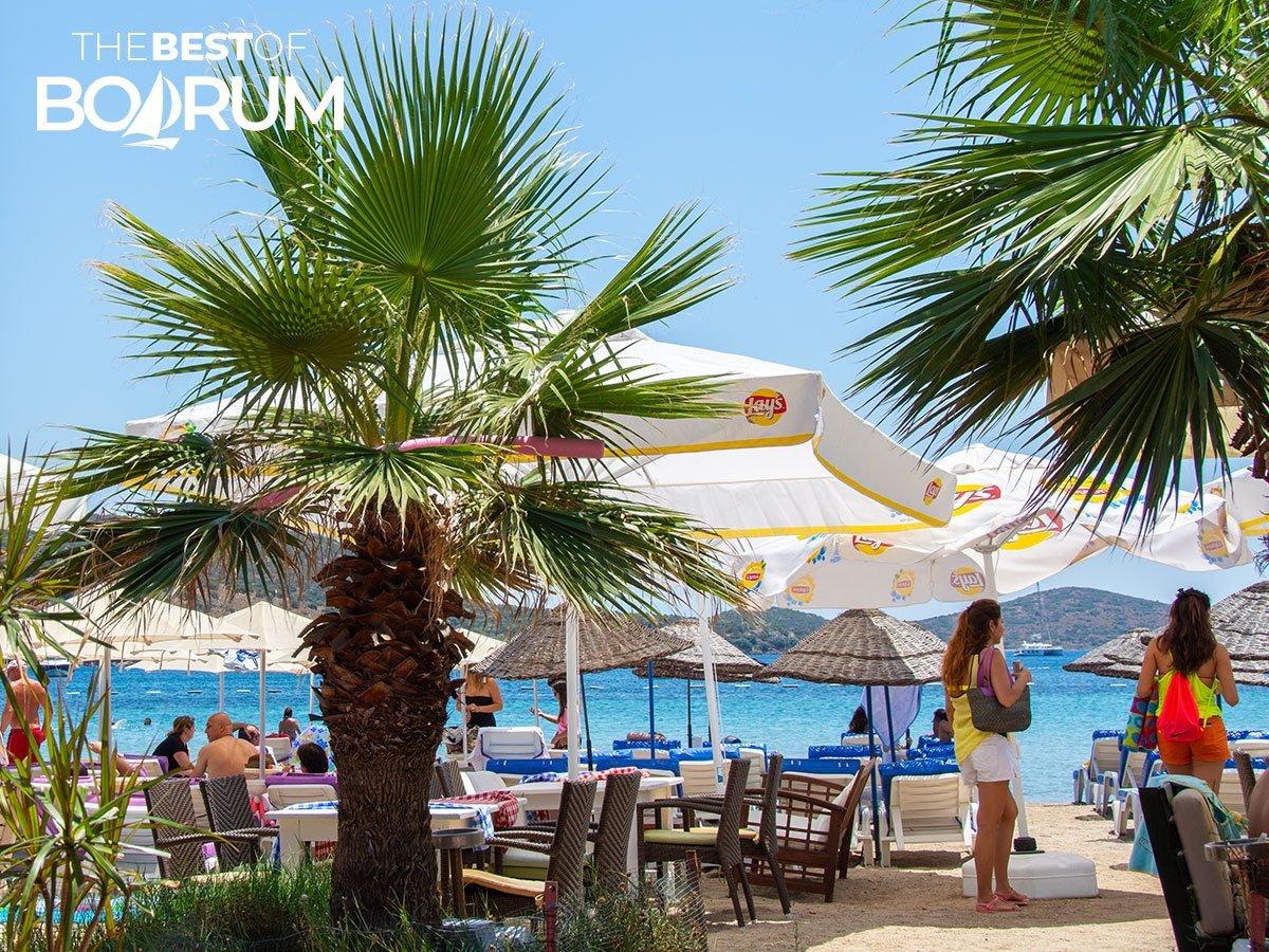 Summer in Bodrum: High Season Conditions | The Best of Bodrum